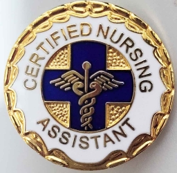 Nursing Assistant pins CNA Pins, Nurses Aide Pins Level I Level II ...